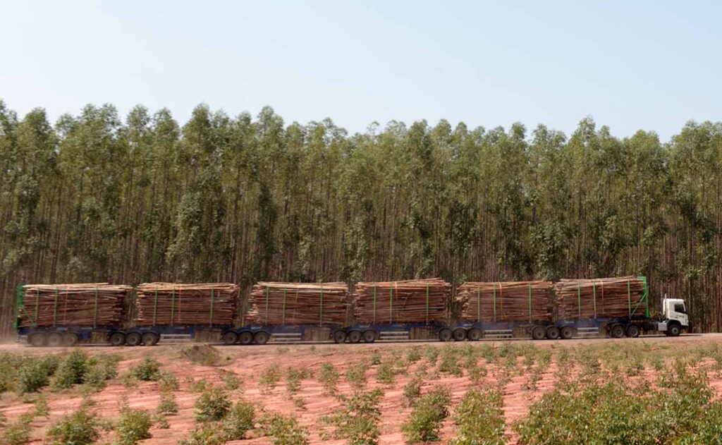 Los nuevos hexatrenes llegan a la región: así son los Volvo FMX 6x6 que ...